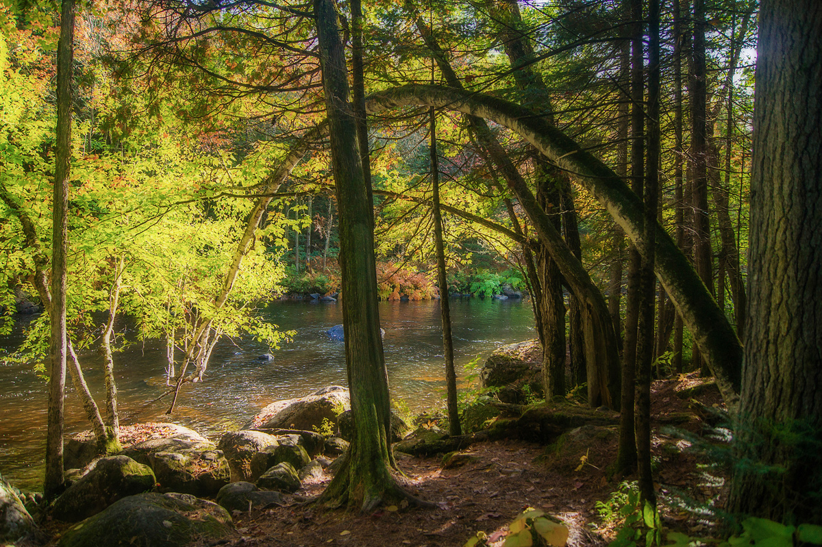 May 2026 Photo Contest Winners: Mood And Atmosphere – Light Stalking